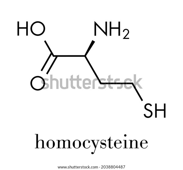 Homocysteine Hcy Biomarker Molecule Increased Levels Stock Vector ... Homocysteine Hcy Biomarker Molecule Increased Levels Stock Vector ...