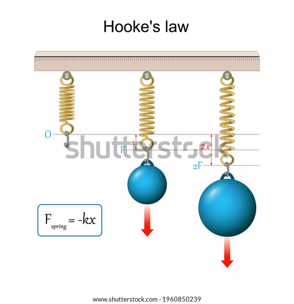 Hookes Law Force Proportional Extension Physical Stock Vector (Royalty ... Hookes Law Force Proportional Extension Physical Stock Vector (Royalty ...