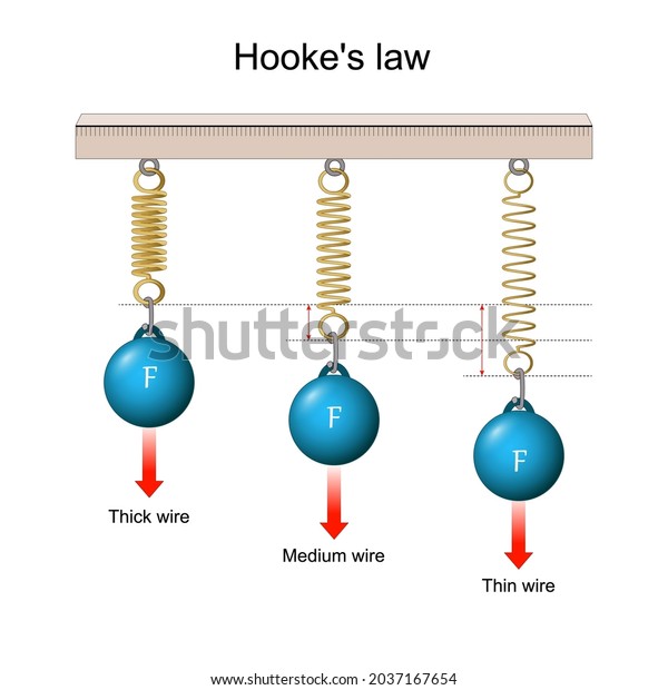 221 afbeeldingen voor Hooke's law: afbeeldingen, stockfoto‘s en ...