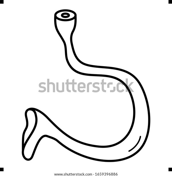Hookworm Logo Outline Style Stock Vector (Royalty Free) 1659396886 ...