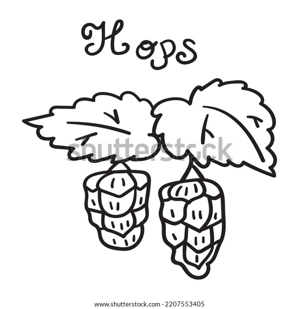 Hops Plant Vector Outline Illustration Stock Vector (Royalty Free ...