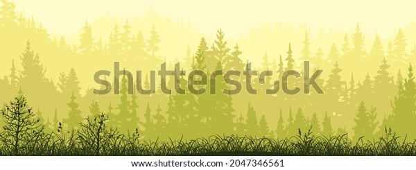 Horizontal Banner Forest Background Silhouettes Trees Stock Vector ...