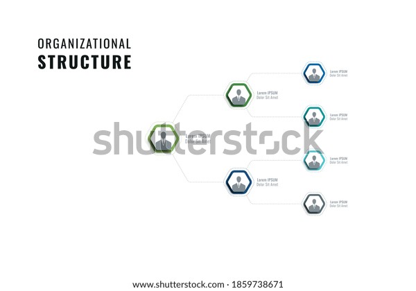 Horizontal Organizational Structure Company Template Multicolor Stock ...