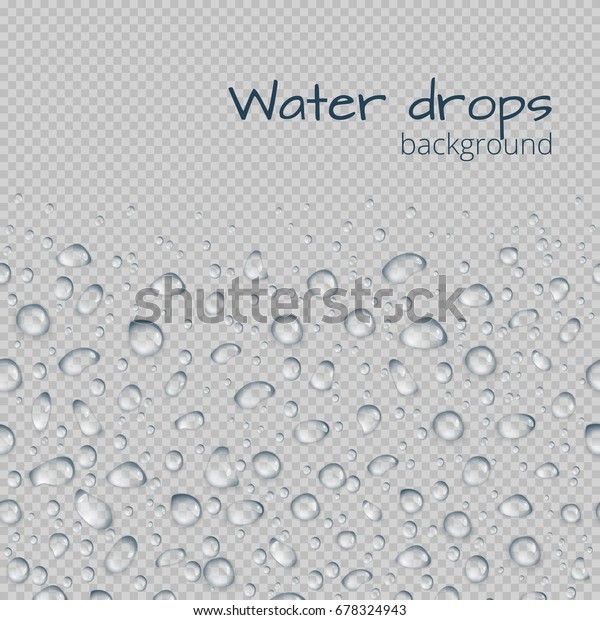 Horizontal Seamless Border Transparent Water Droplets Stock Vector ...