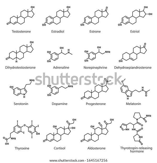 Hormones Chemical Structures Set Hormone Internal Stock Vector (Royalty ...