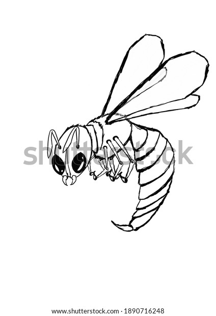 Hornet Drawing No Background Outline Stock Vector (Royalty Free ...