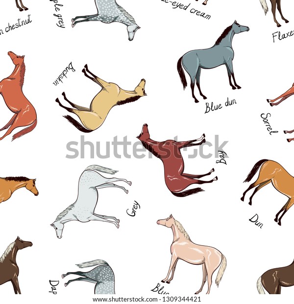 Horse color chart seamless pattern. Equine coat color with text ...