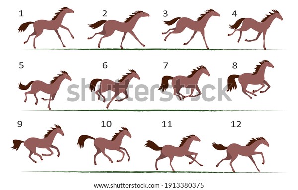 Horse Running Animation Twelve Key Positions Stock Vector (Royalty Free ...