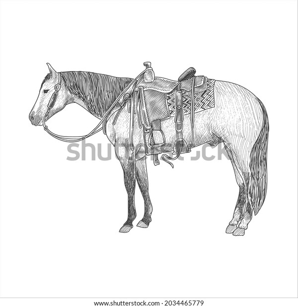 Horse Saddle Illustration Drawing Stock Vector (Royalty Free ...