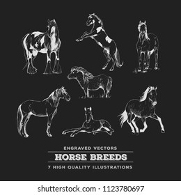 Horse Set 7 Realistic Horses Vector Stock Vector (Royalty Free ...