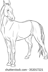 Horse standing drawing Stock Vectors, Images & Vector Art | Shutterstock