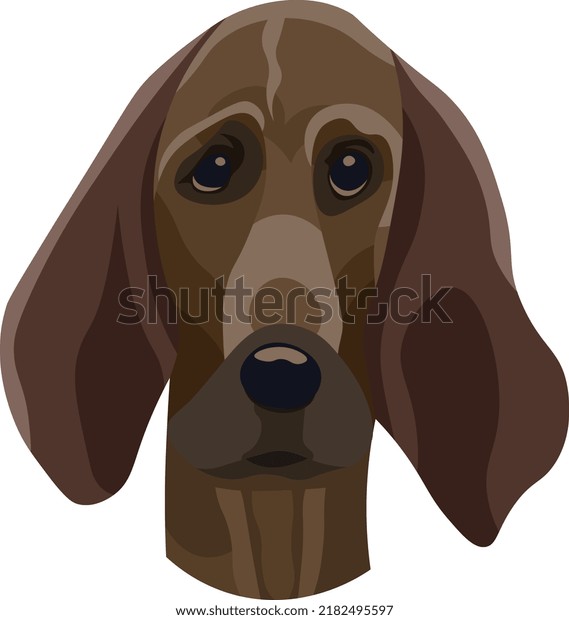 Hound Dog Head Portrait Graphic Illustration Stock Vector (Royalty Free ...