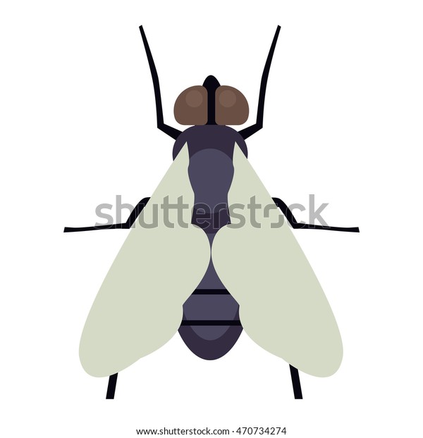 House Fly Insect Cartoon Black Fly Stock Vector (Royalty Free ...