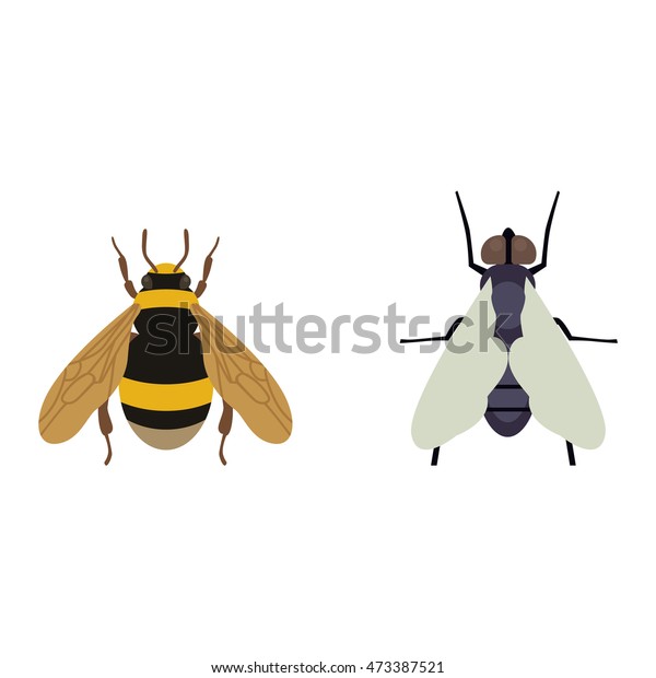House Fly Insect Cartoon Black Fly Stock Vector (Royalty Free ...