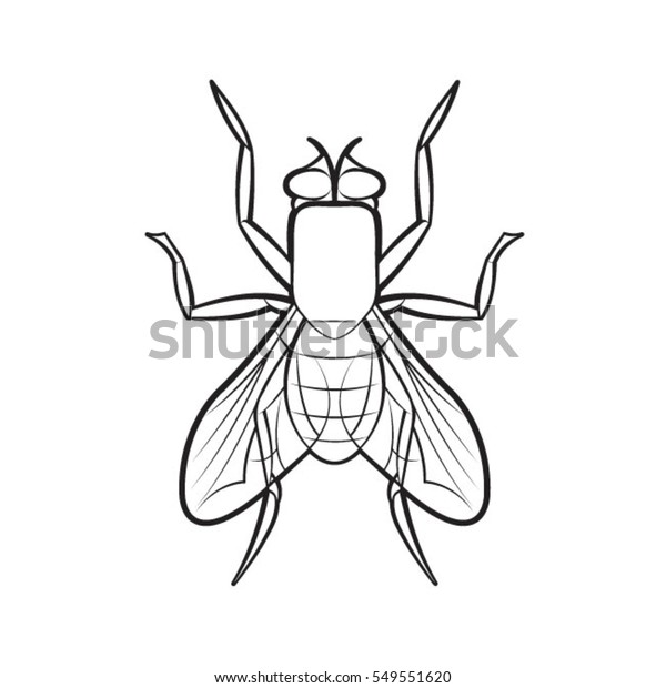 Housefly Black Outlinevector Drawing: เวกเตอร์สต็อก (ปลอดค่าลิขสิทธิ์ ...