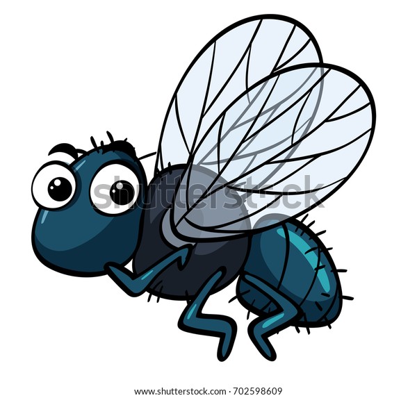 Housefly On White Background Illustration Stock Vector (Royalty Free ... Housefly On White Background Illustration Stock Vector (Royalty Free ...