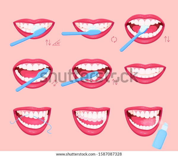 How Brush Your Teeth Instruction Infographics Stock Vector (Royalty ...