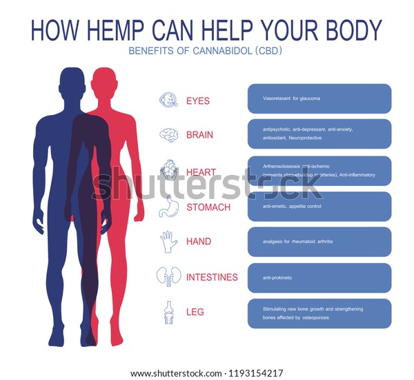 How Hemp Can Help Your Body Stock Vector (Royalty Free) 1193154217 ...