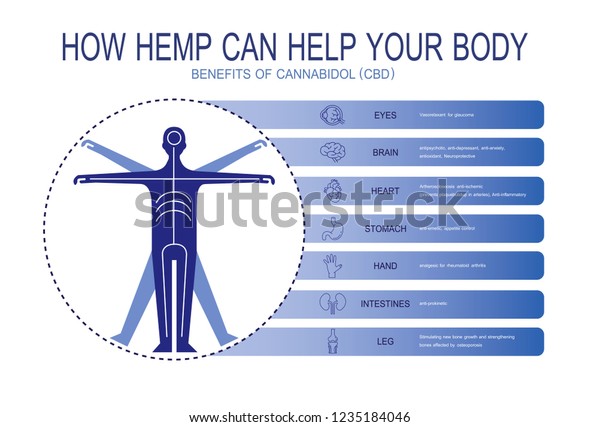 How Hemp Can Help Your Body Stock Vector (Royalty Free) 1235184046 ...