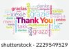 5+ Hundred Thank You Slide Royalty-Free Images, Stock Photos & Pictures ...