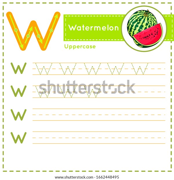 Vektor Stok How Write Letter W Uppercase Vector (Tanpa Royalti ...