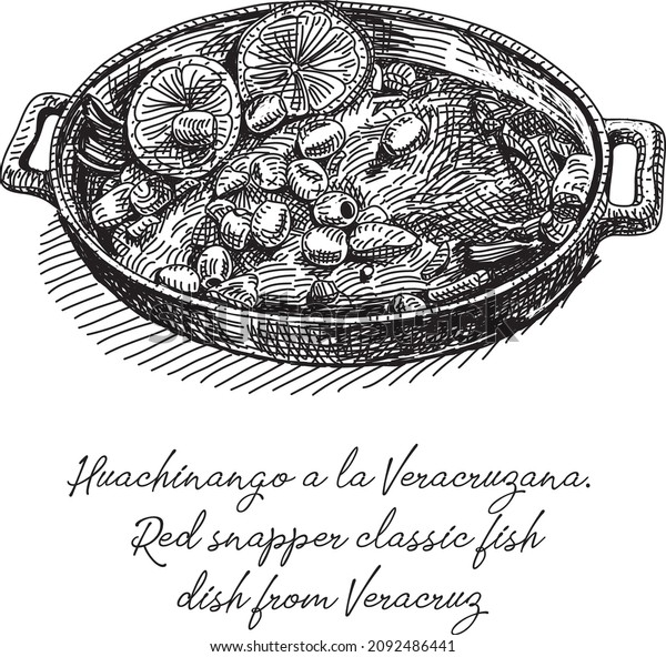 Huachinango Veracruz Red Snapper Classic Fish Stock Vector (Royalty ...