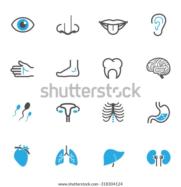 Iconos de anatomía humana