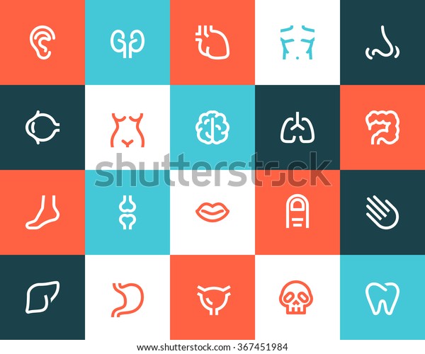 Human Anatomy Icons Flat Style Stock Vector (Royalty Free) 367451984 ...