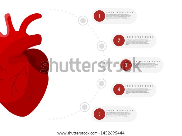 Human Anatomy Illustration Medical Concept Infographics เวกเตอร์สต็อก