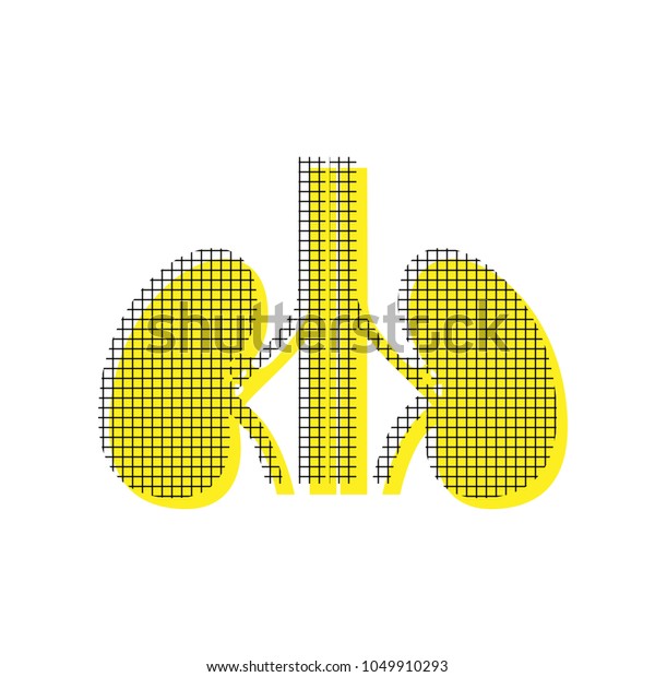 Human Anatomy Kidneys Sign Vector Yellow Stock Vector (Royalty Free ...
