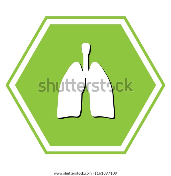 Human Anatomy Lungs Sign Vector White Stock Vector (Royalty Free ...