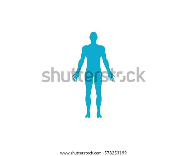 Human Anatomy Man Vector Illustration Stock Vector (Royalty Free) 578253199