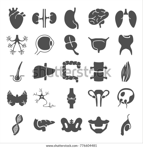 Human Anatomy Simple Icons Set Stock Vector (Royalty Free) 776604481 ...