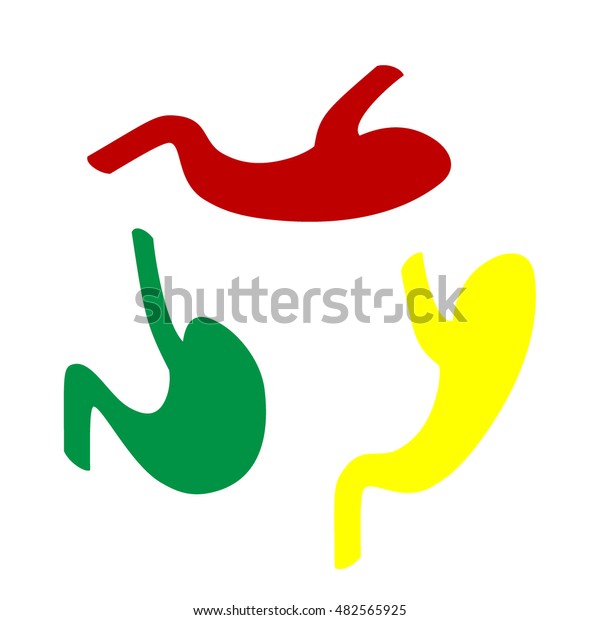 Human Anatomy Stomach Isometric Style Red Stock Vector (Royalty Free ...