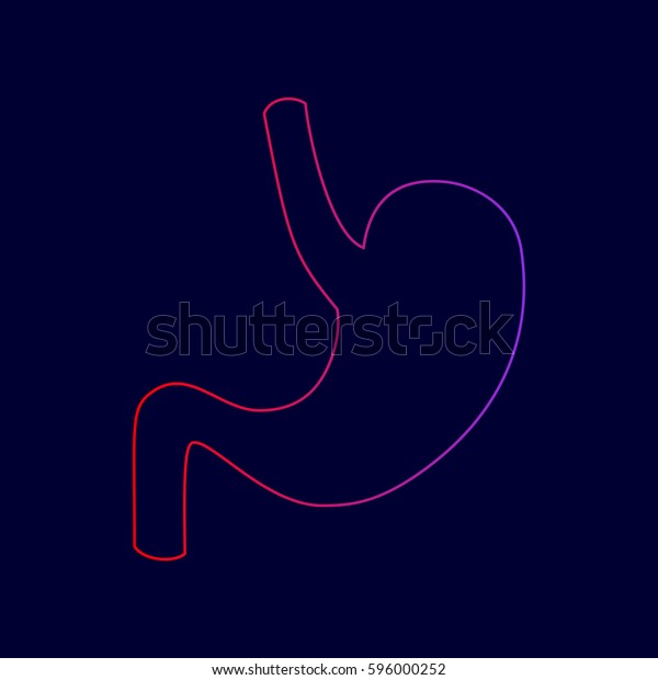 Human Anatomy Stomach Vector Line Icon Stock Vector (Royalty Free ...