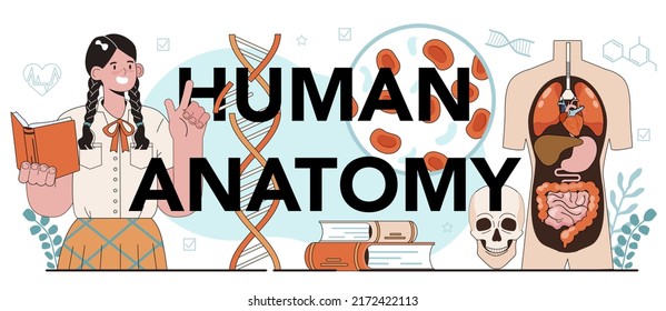 Human Anatomy Typographic Header Internal Human Stock Vector (Royalty ...