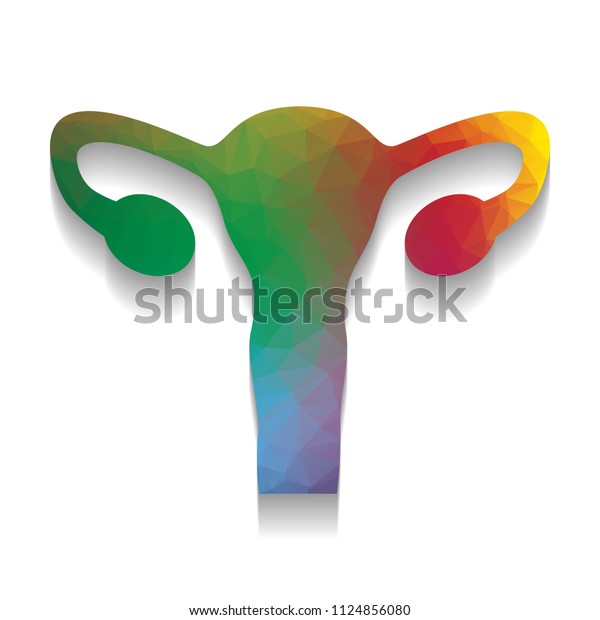 Human Anatomy Uterus Sign Vector Colorful Stock Vector (Royalty Free ...