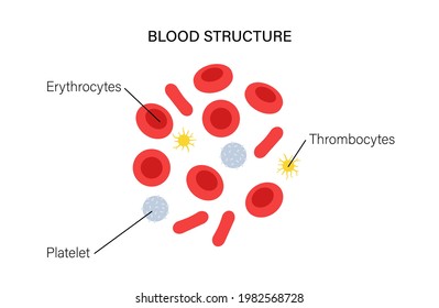 140 Hematocrit structure Images, Stock Photos & Vectors | Shutterstock