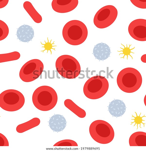 Human Blood Cells Structure Under Microscope Stock Vector (Royalty Free ...