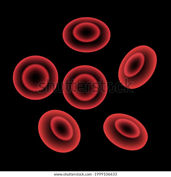 Human Blood Cells Structure Under Microscope Stock Vector (Royalty Free ...