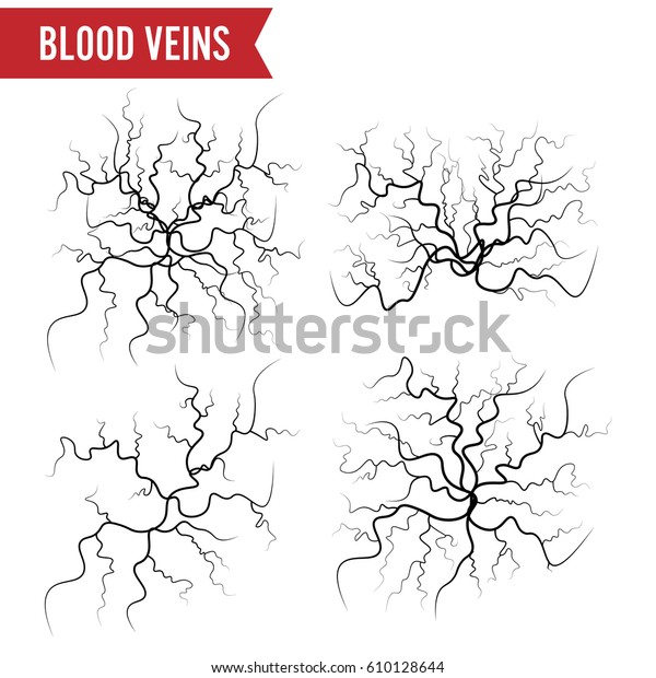 Human Blood Veins Vector. Blood Arteries Isolated On White. Set Of ...