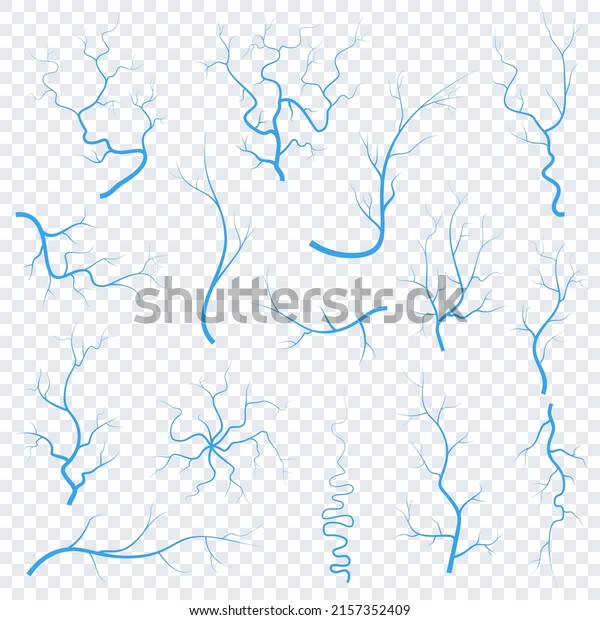 Human Blue Eye Veins Anatomy Blood Stock Vector (Royalty Free ...