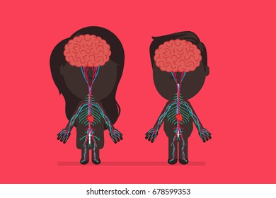 Human Body Anatomy Vector Illustration Stock Vector (Royalty Free ...