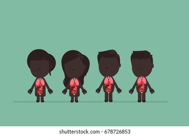 Human Body Anatomy Vector Illustration Stock Vector (Royalty Free ...