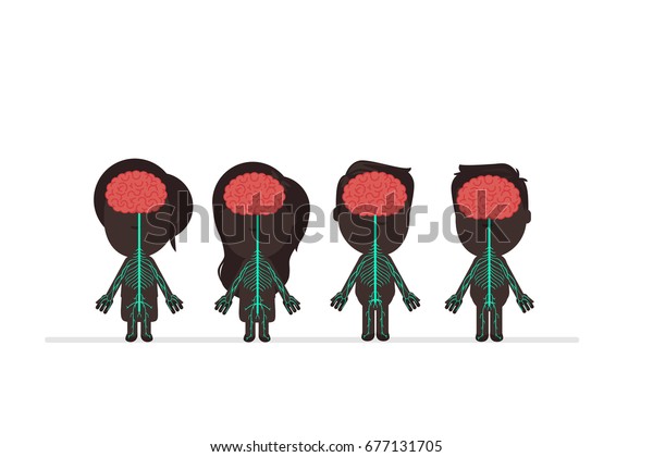 Human Body Anatomy Vector Illustration Stock Vector (Royalty Free ...