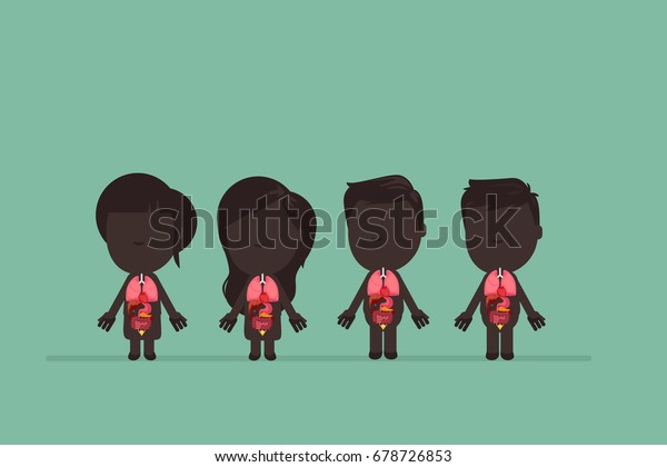 Human Body Anatomy Vector Illustration Stock Vector (Royalty Free ...