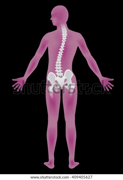 Human Body Back View Silhouette Bent: เวกเตอร์สต็อก (ปลอดค่าลิขสิทธิ์ ...