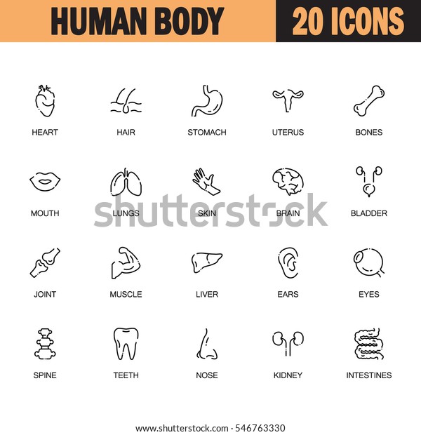 Human Body Flat Icon Set Collection 스톡 벡터(로열티 프리) 546763330 | Shutterstock