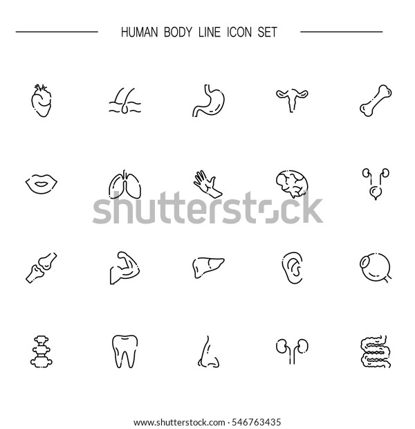 Human Body Flat Icon Set Collection Stock Vector (Royalty Free ...