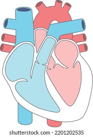 Human Body Heart Structure Illustration Stock Vector (Royalty Free ...